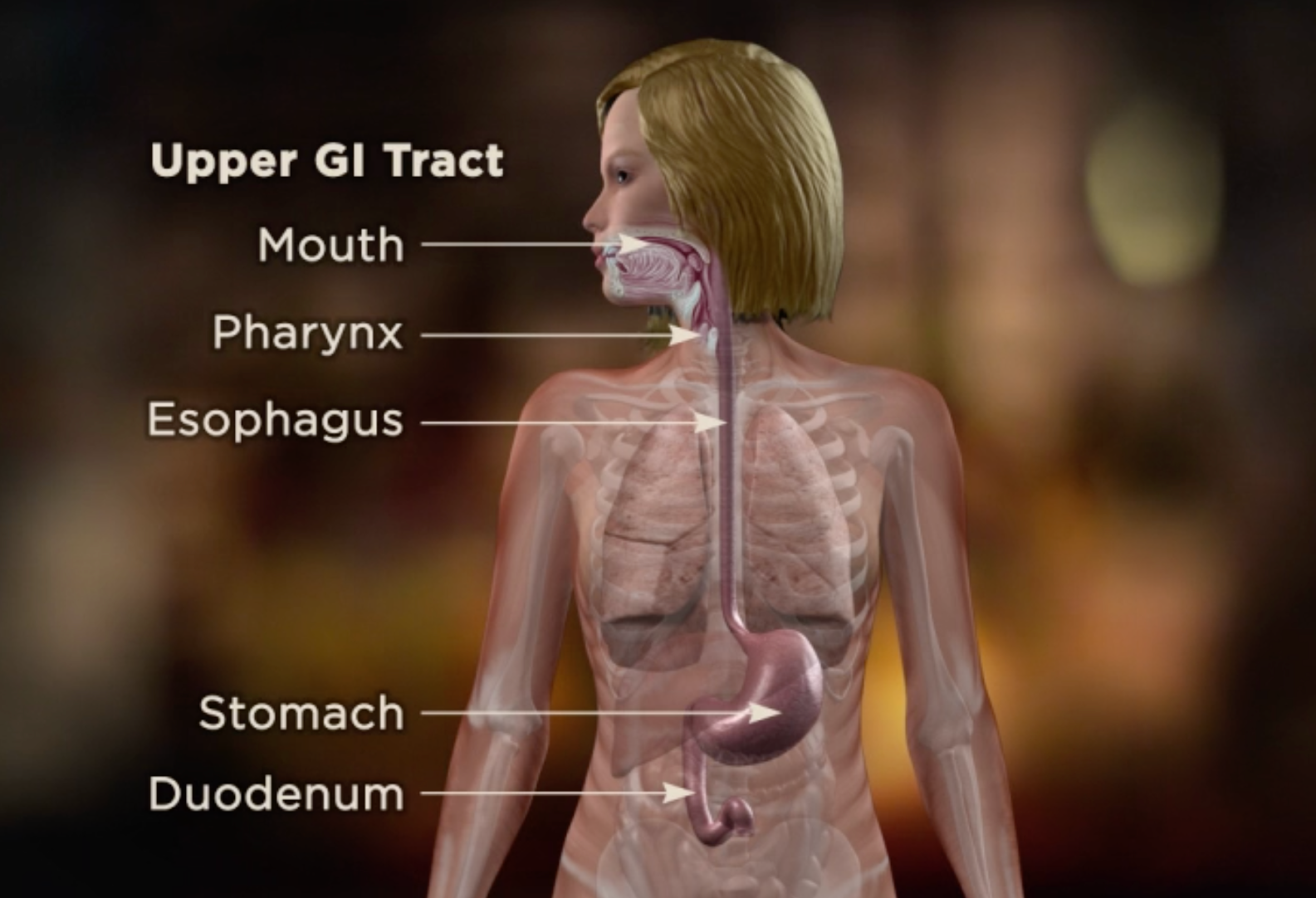 Nausea and Vomiting – Great Care At Low Costs