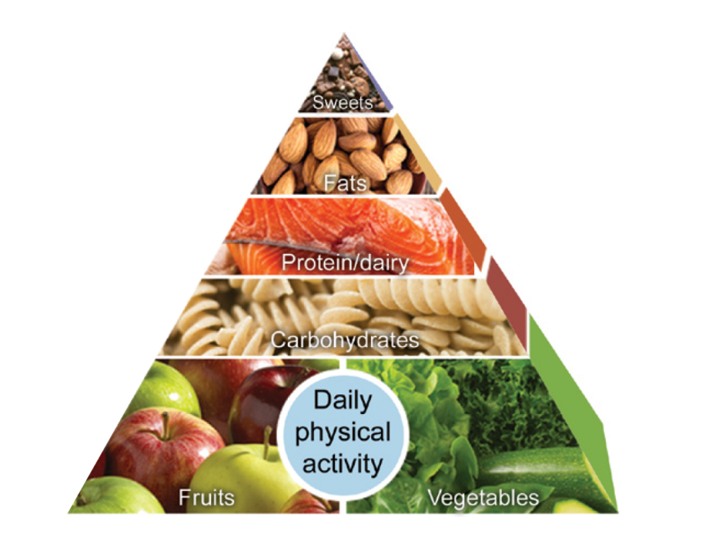 Mayo Clinic Food Pyramid for Weight Loss | Great Care At Low Costs